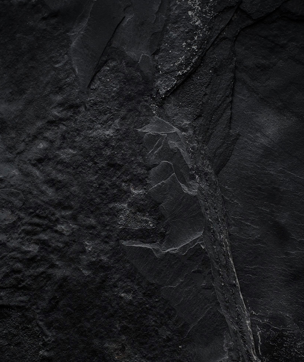 Tore Ligaard | Norges største dør- og vindussenter