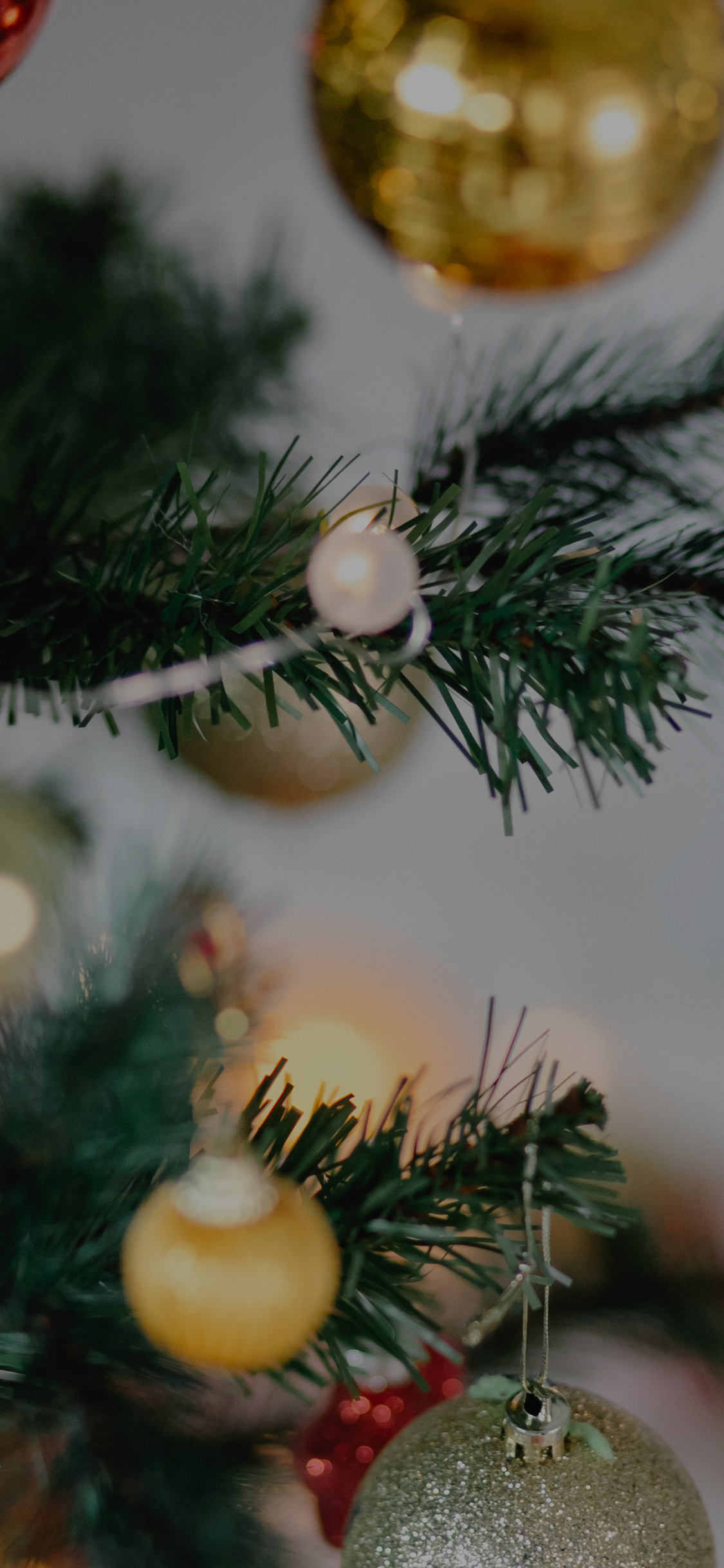 Tore Ligaard | Norges største dør- og vindussenter